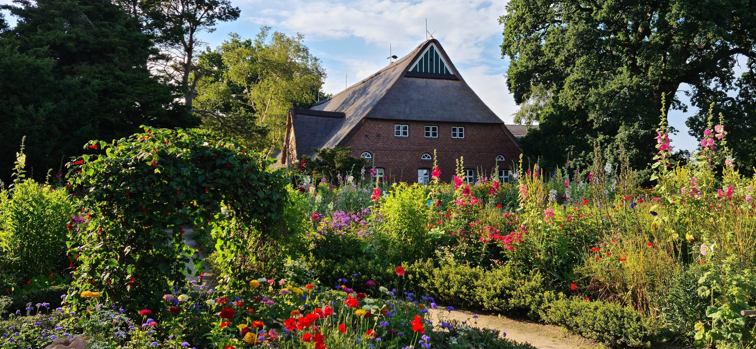 Veranstaltungen im Arboretum