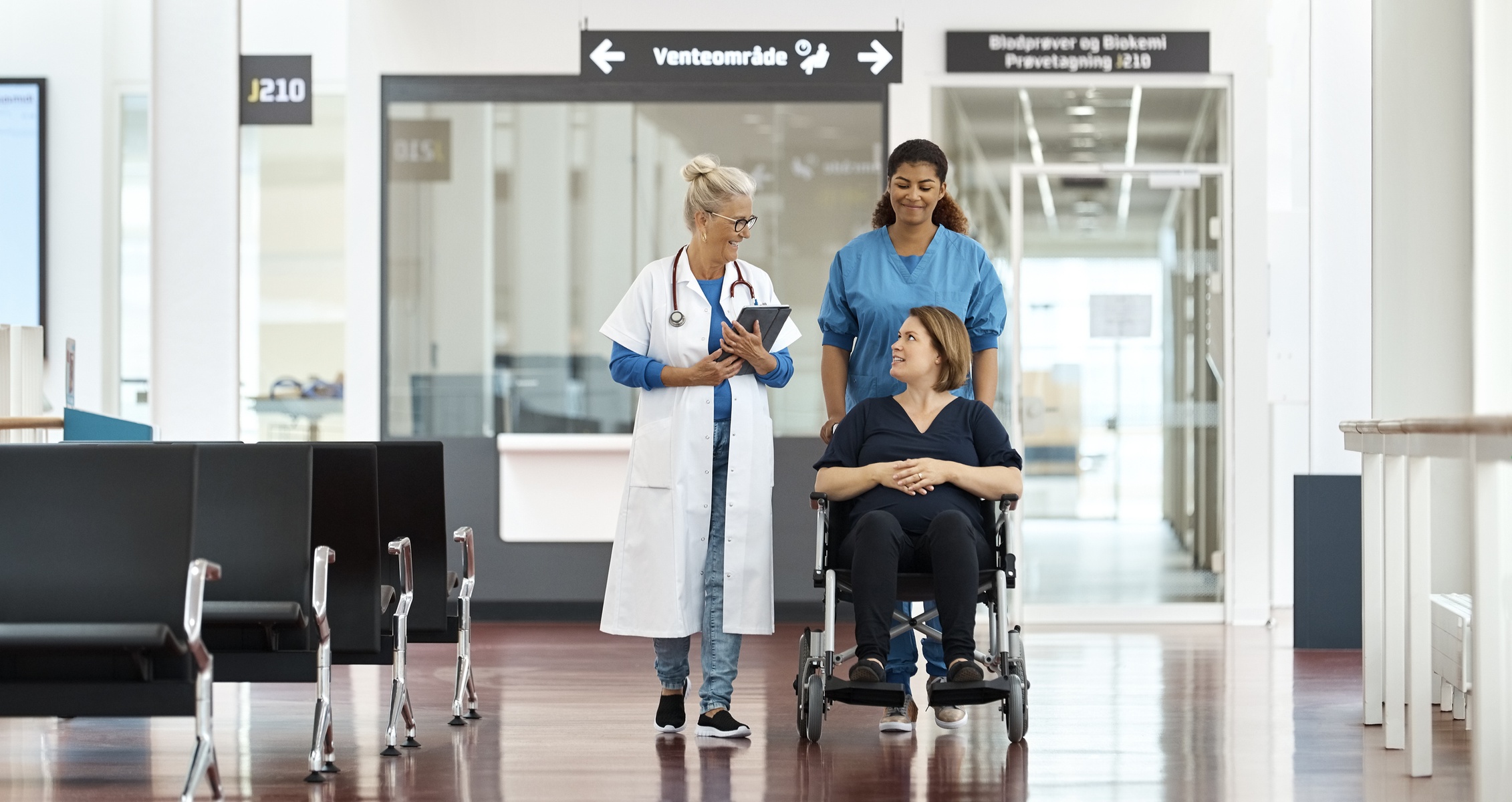 The Danish healthcare system